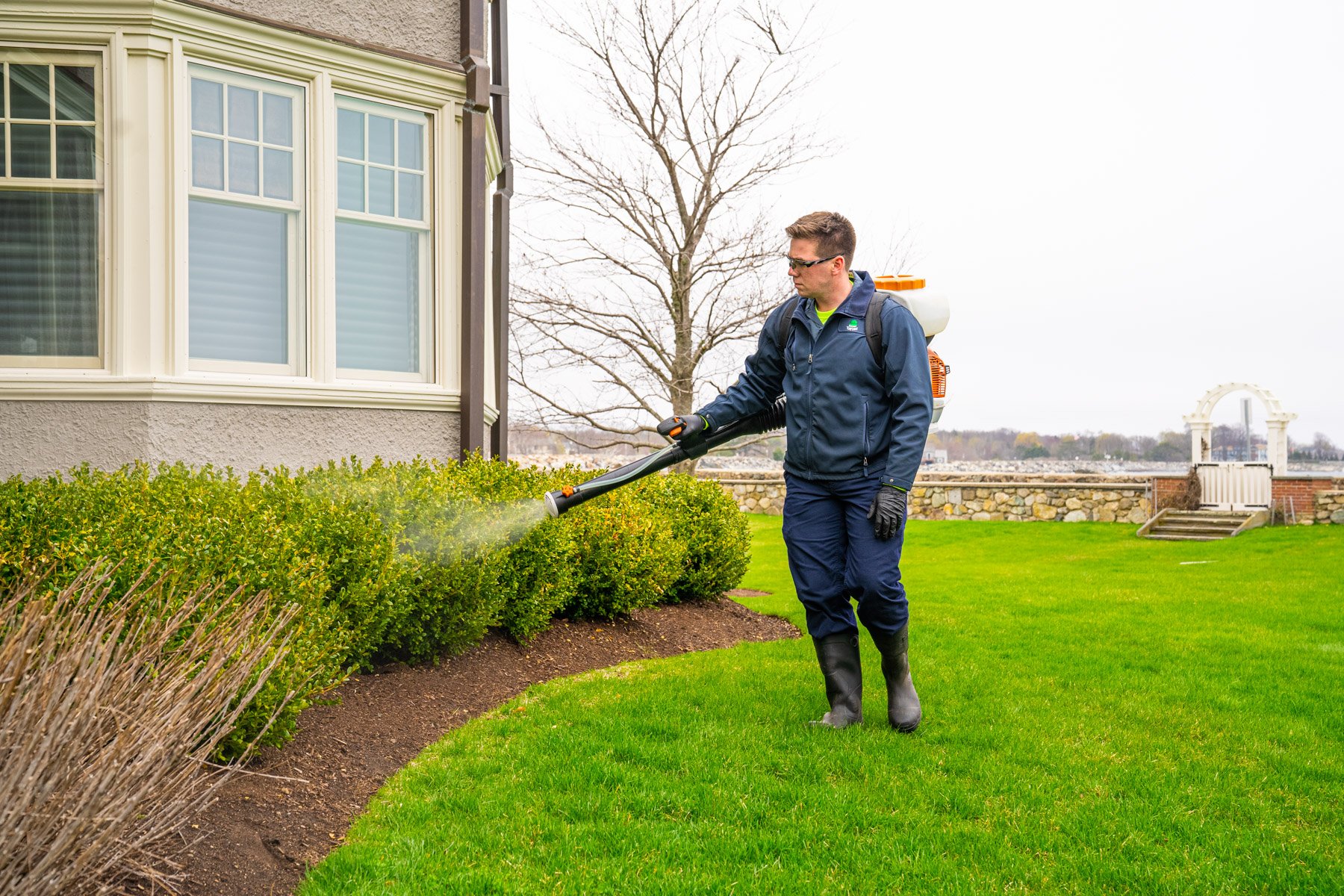 Why is Your Yard Infested With Ticks? 3 Common Reasons