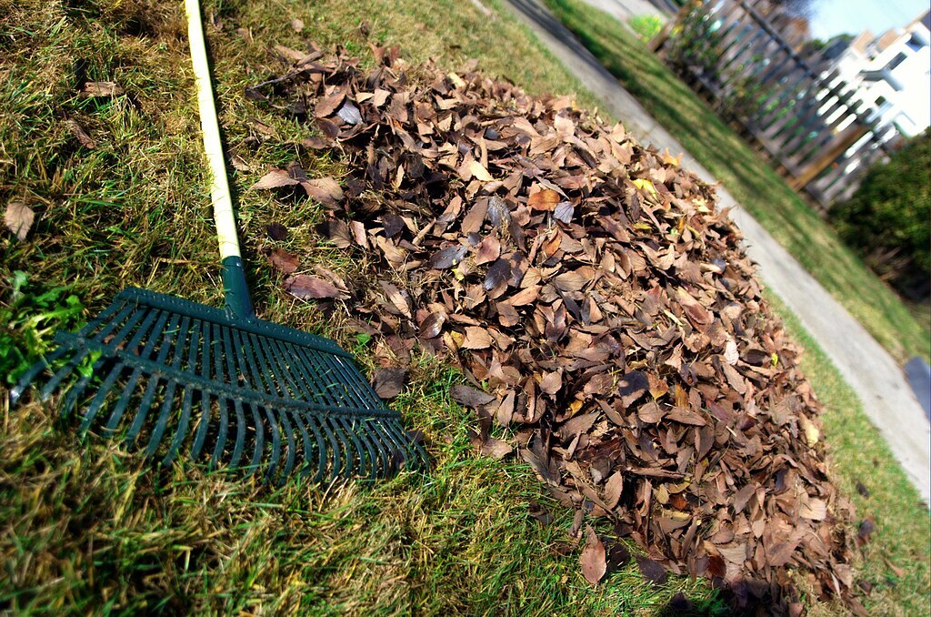 Why Fall Leaf Cleanup is Critical for Your New England Lawn Health