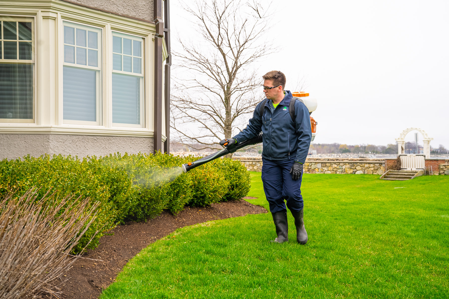 Choosing the Right Mosquito and Tick Control Services in Massachusetts